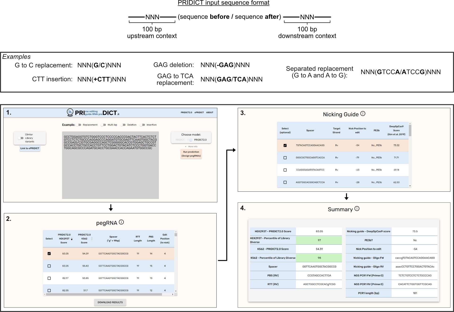 PRIDICT: Predicting Efficiencies of Prime Editing Guide RNAs